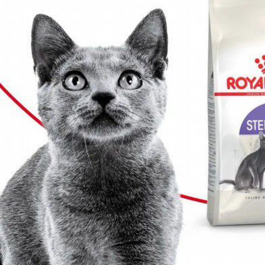 Сухой корм для кошек Royal Canin Sterilised, 4 кг