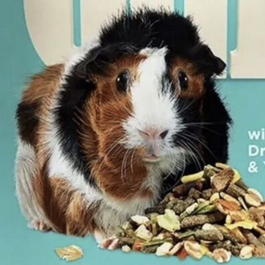 Большой пакет корма для морских свинок