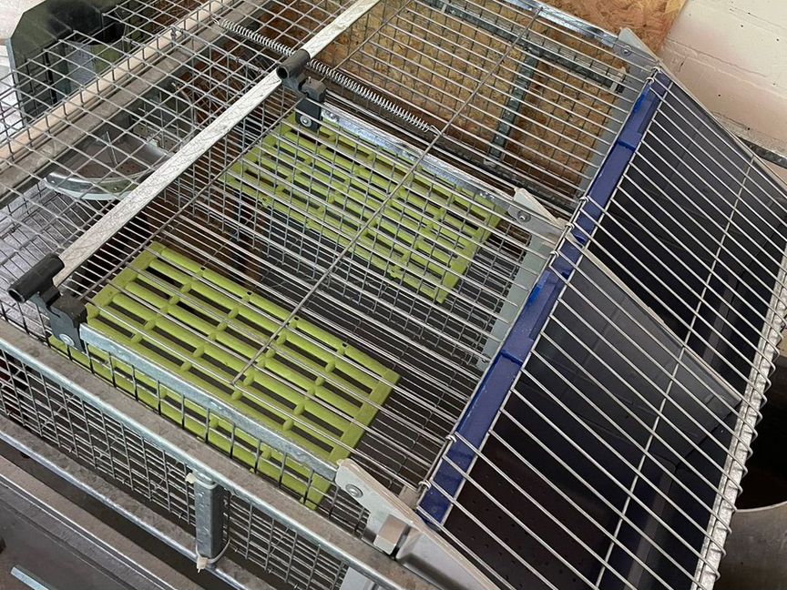 Клетки для нутрий