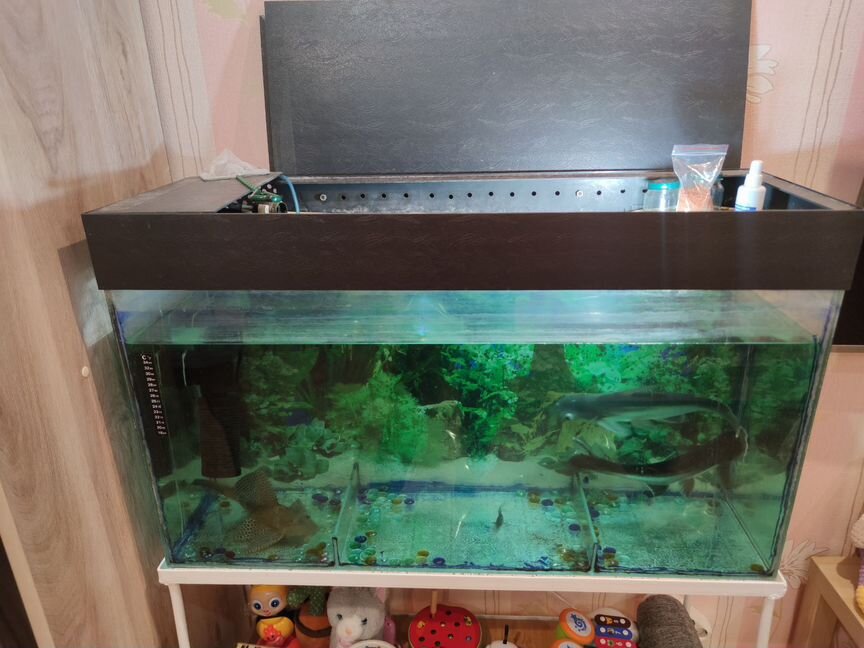 Аквариум с рыбками