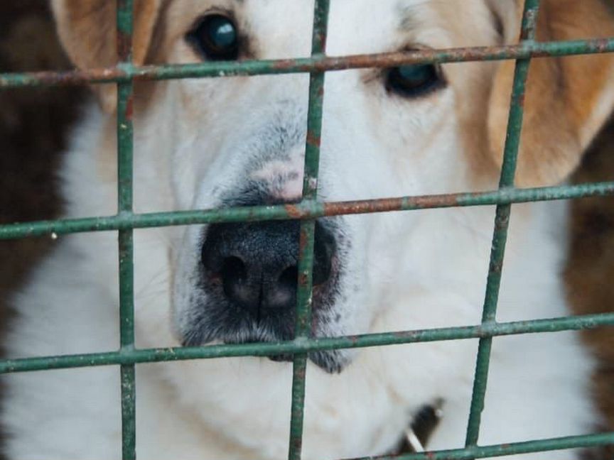 Бодрая ласковая старушка Дея мечтает о доме