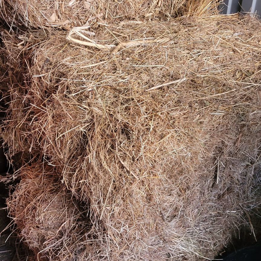 Сено в тюках