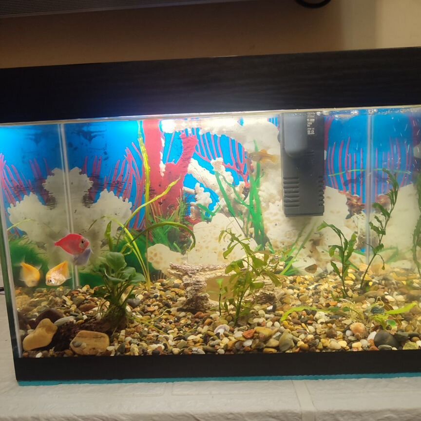 Аквариум в комплекте