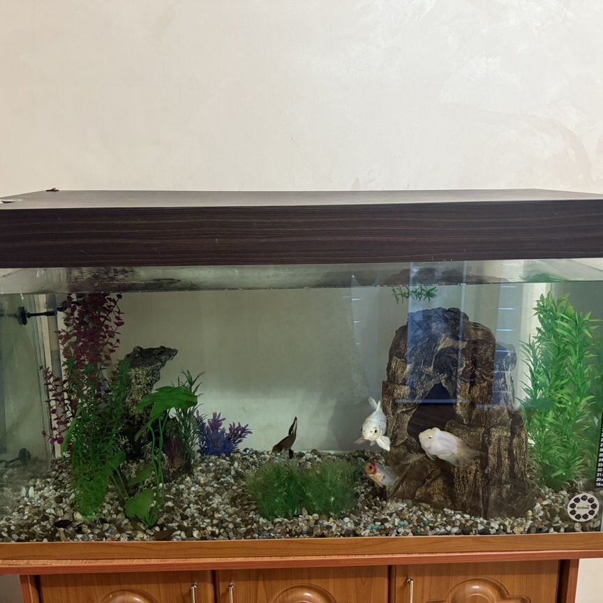 Аквариум с крышкой 220 литров