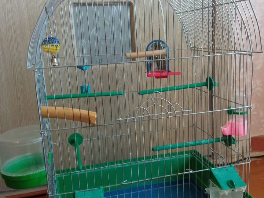 Большая клетка для попугаев