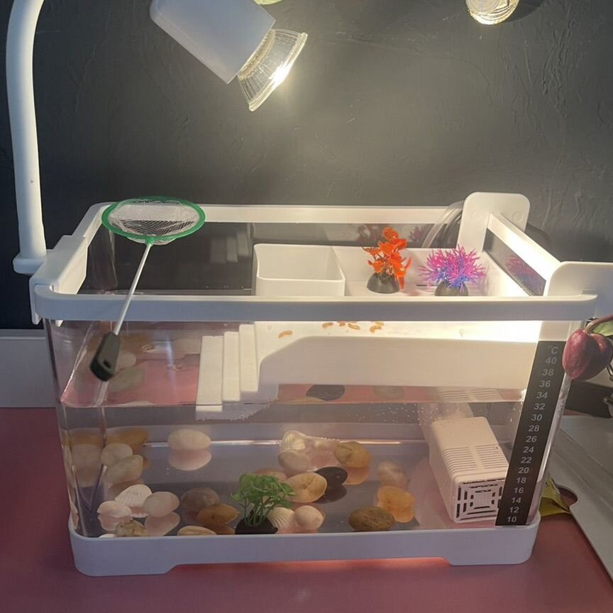 Аквариум для черепах и рыб