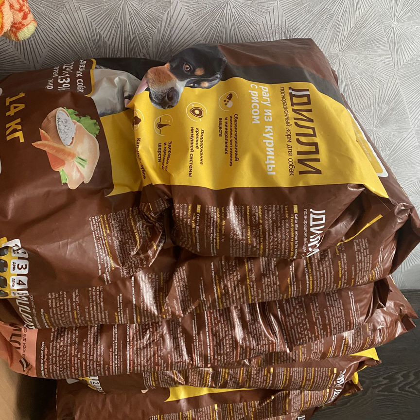 Корм для собак дилли 14 кг