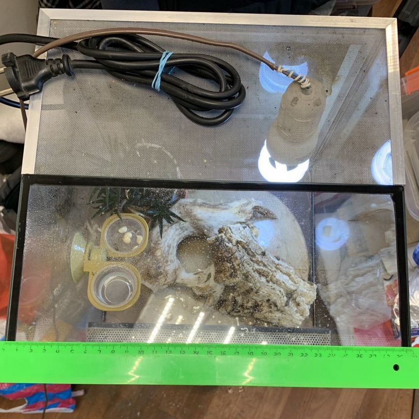 Террариум для рептилий с гекконами