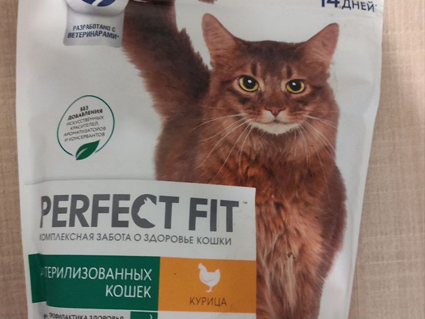 Кошачий сухой корм