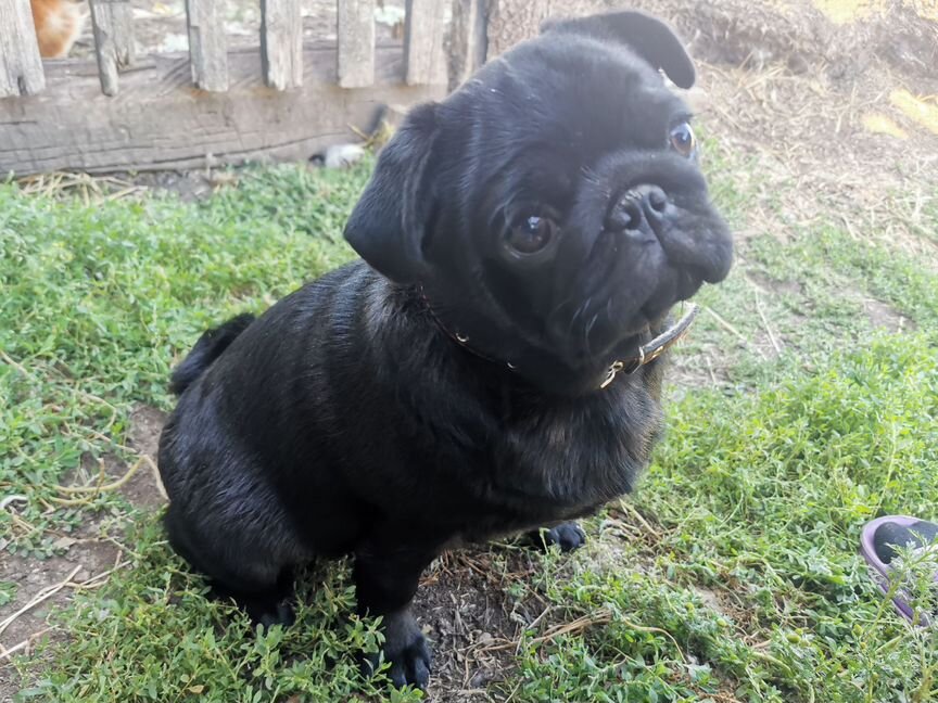 Ищем жениха