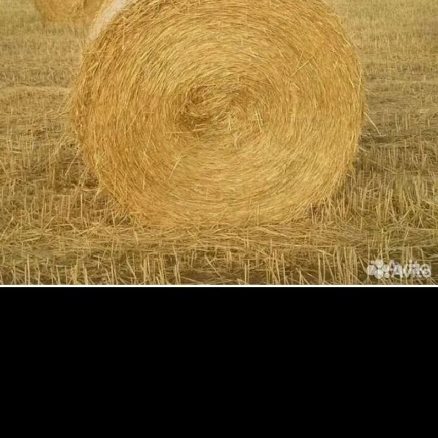 Солома в тюках