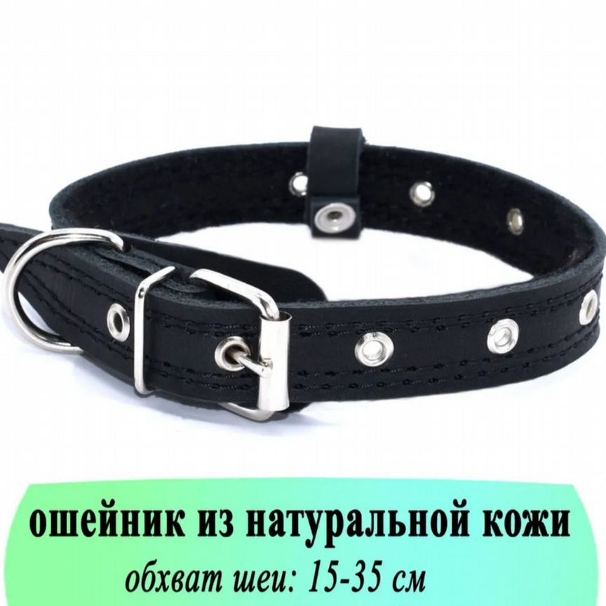 Ошейник кожаный 15-35 см