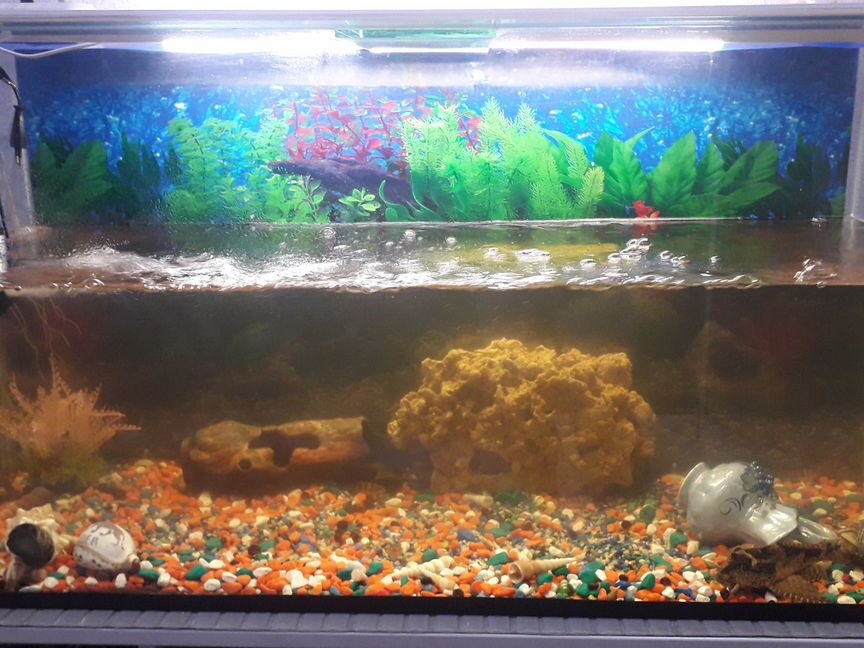 Аквариум на 200 литров с тумбой