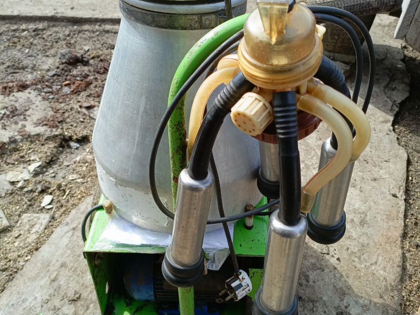 Доильный аппарат для коров бу