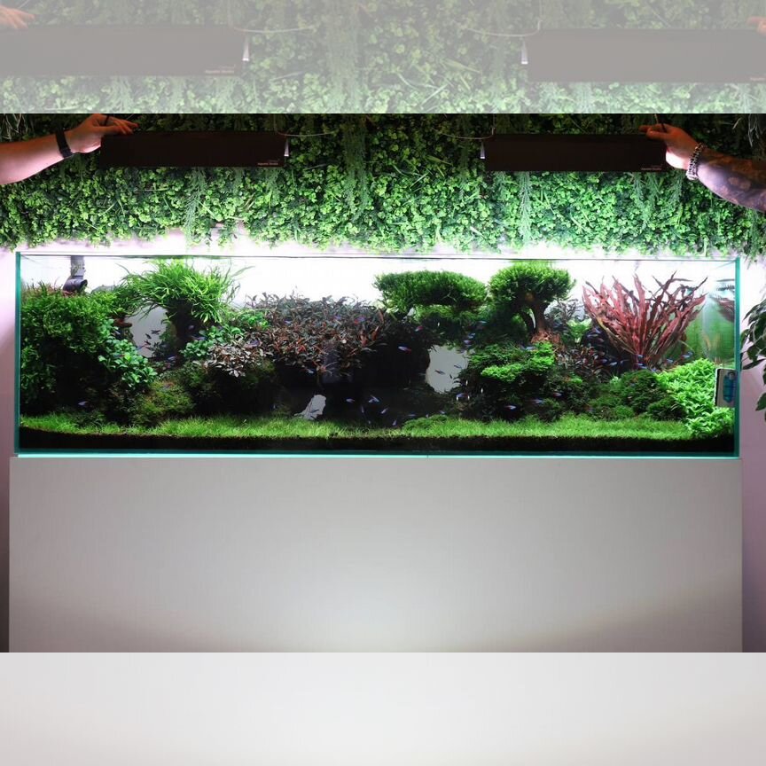 Аквариумы морские и пресноводные