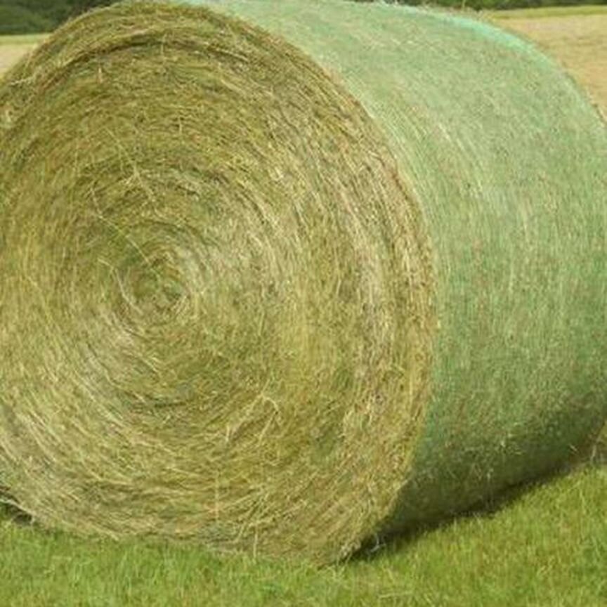 Сено солома в рулонах