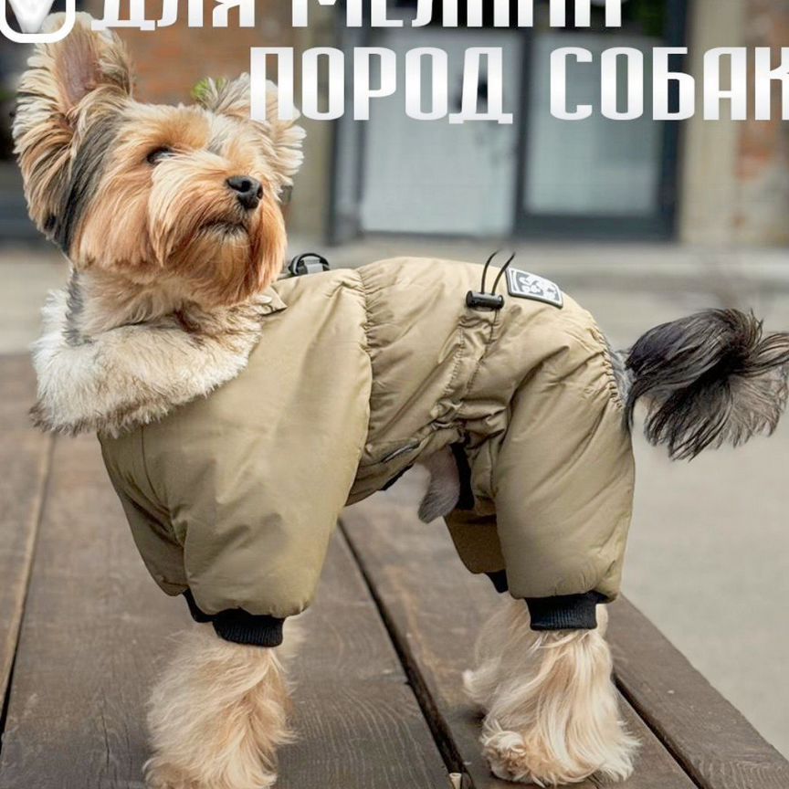 Комбинезон для маленькой собаки