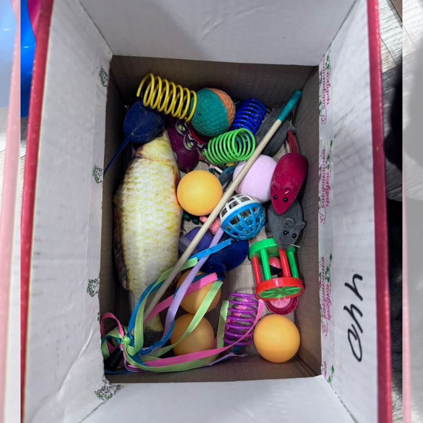 Игрушки для котов