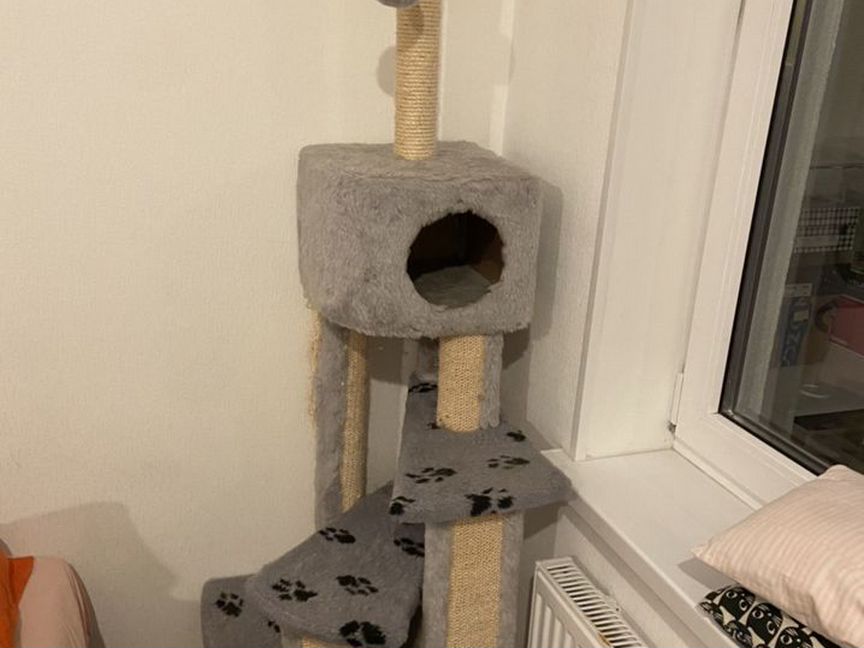 Домик когтеточка