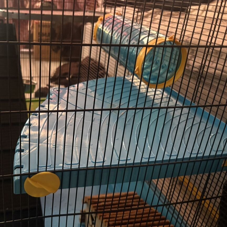 Клетка для грызунов