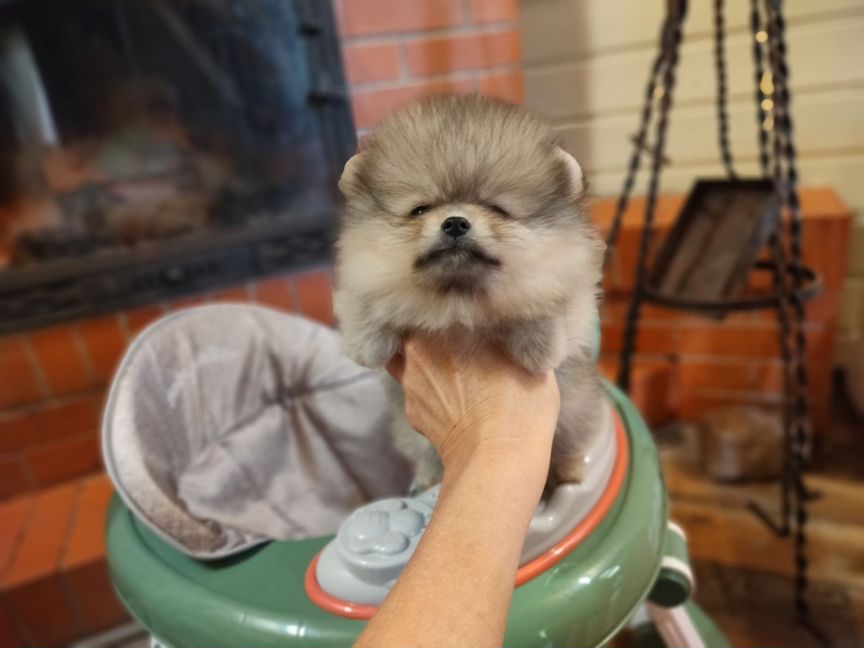 Махонький, миниатюрный мальчик