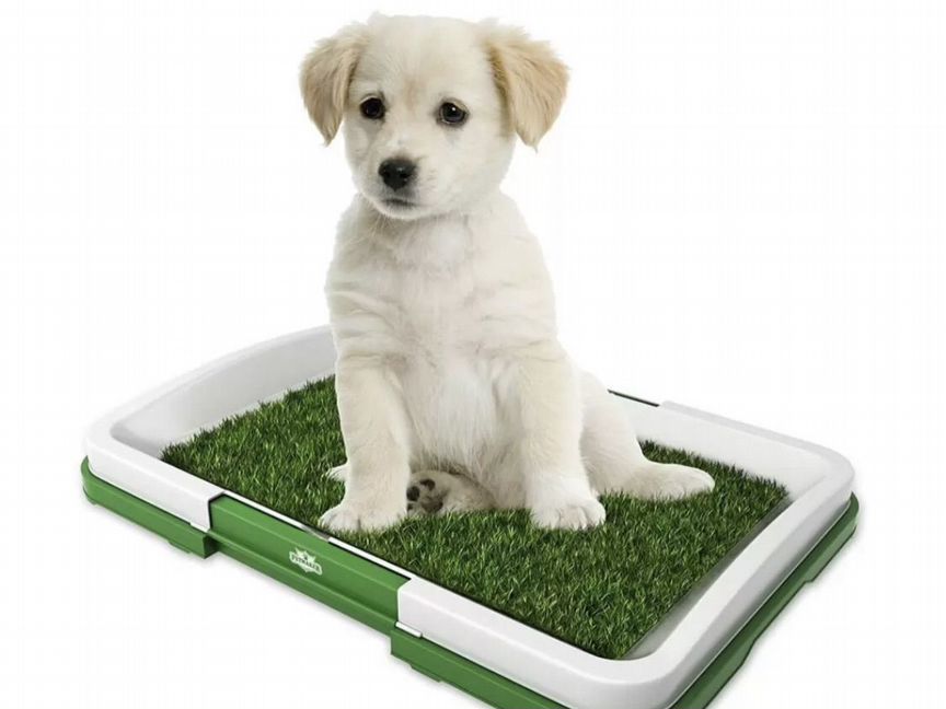Туалет для собак Puppy Potty Pad