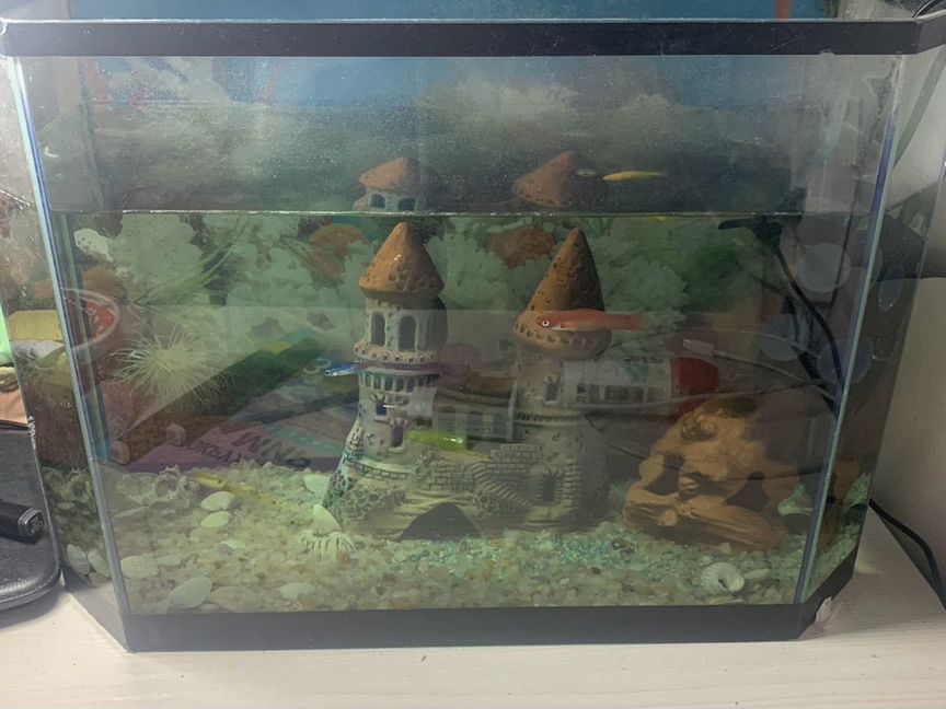 Аквариум с рыбками