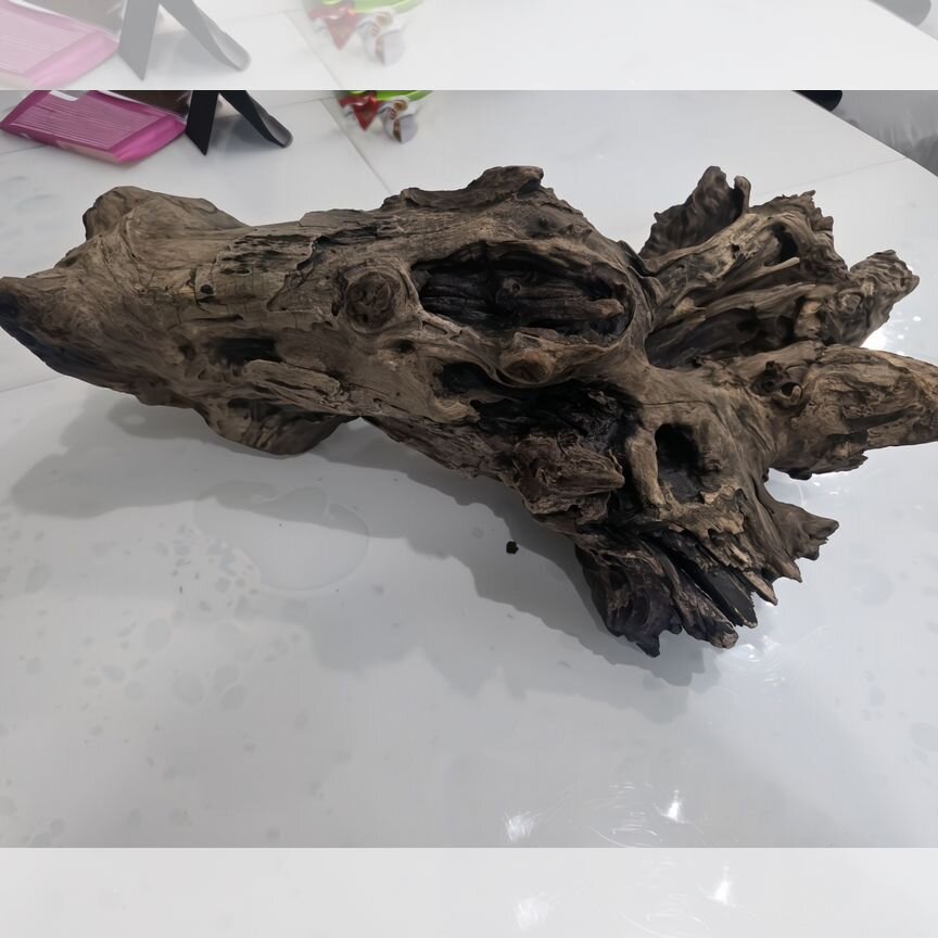 Коряга в аквариум натуральная