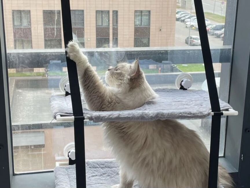 Гамак для кошек на окно двойной на присосках