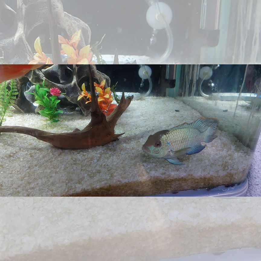 Нанокара неоновая электрик блю