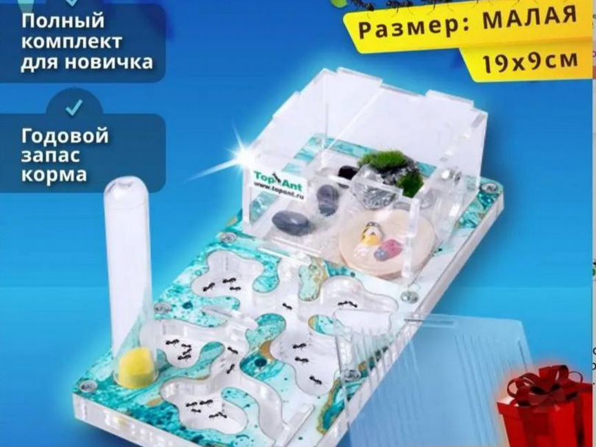 Горизонтальная муравьиная ферма без муравьев