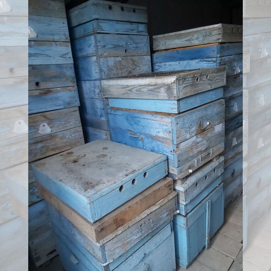 Продам ульи для пчел