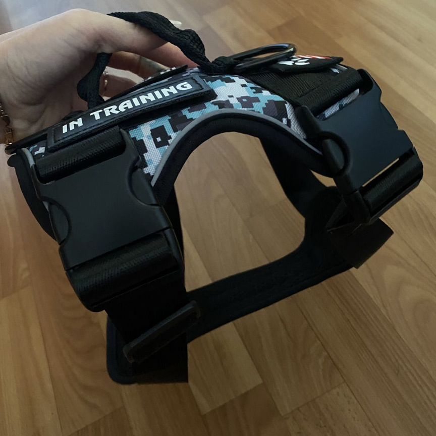 Новая шлейка на среднюю собаку