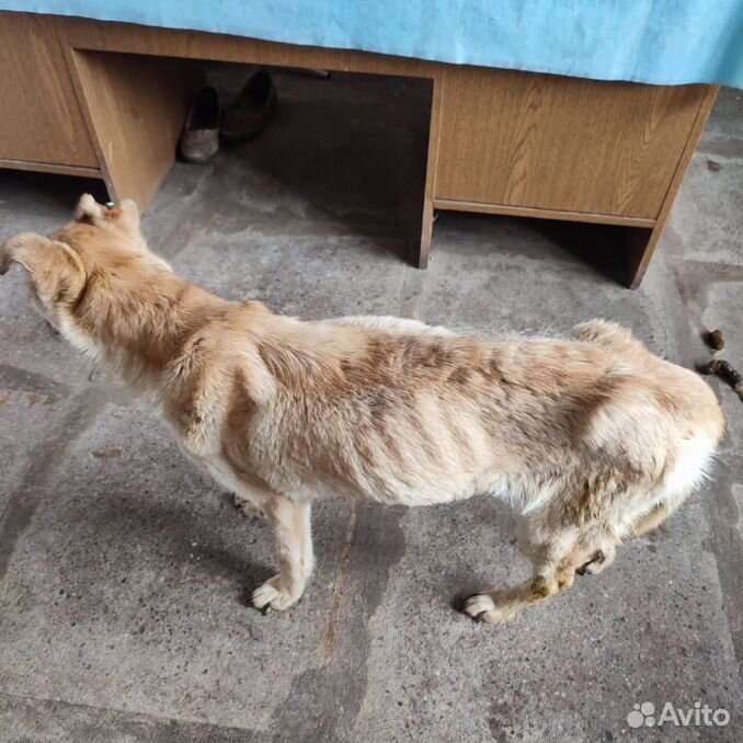 Ищем самые добрые ручки