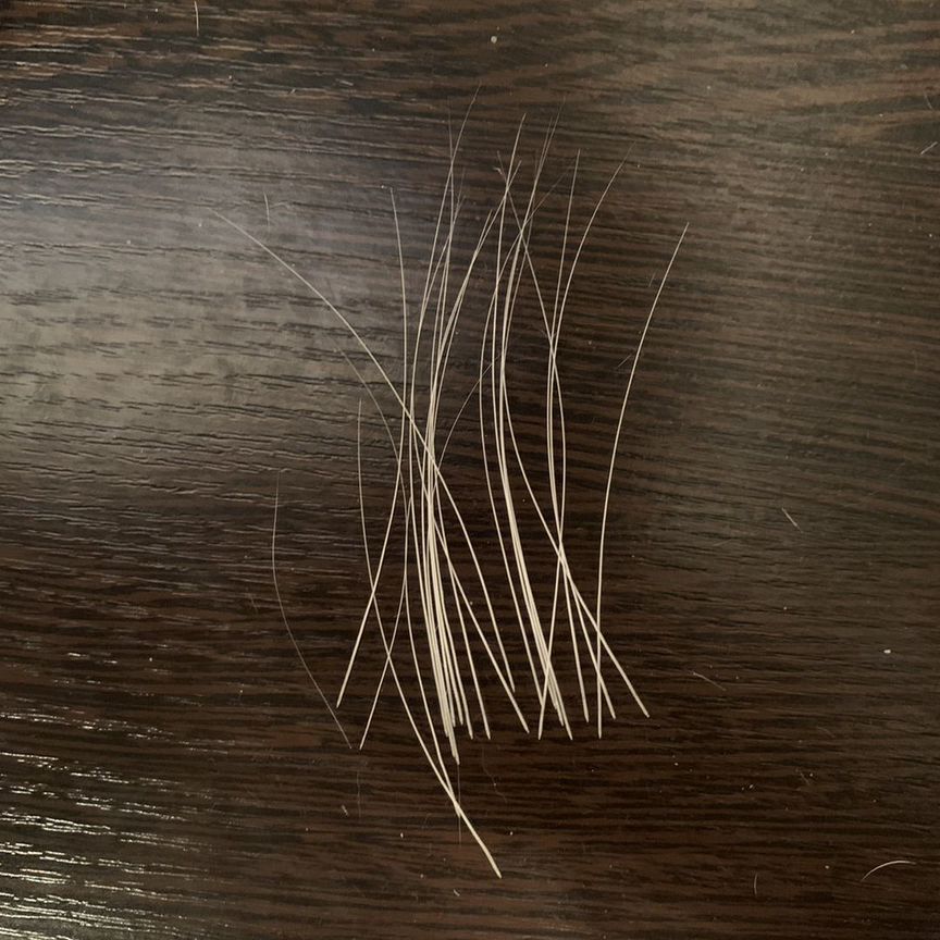 Усы молодых котов