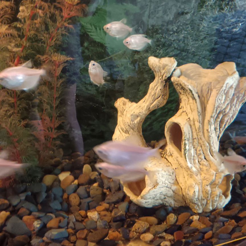 Продам аквариум бу 60 литров