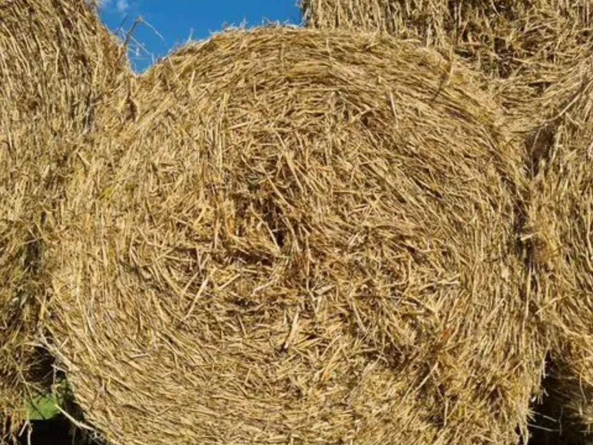 Солома в тюках