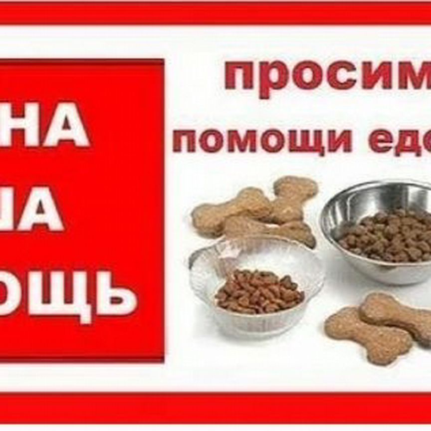 Помощь подкидышам в саду, на подкормку