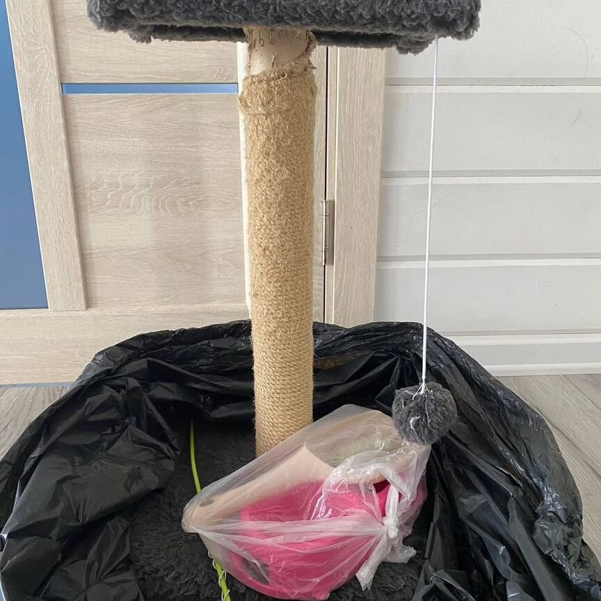 Когтеточка для кошек бу