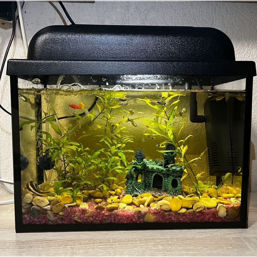 Аквариум с рыбками