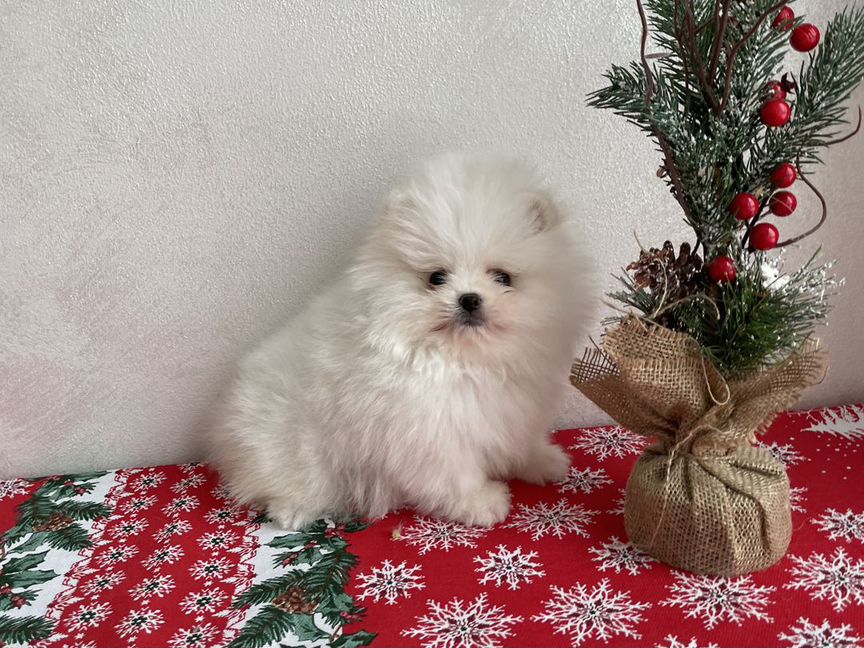 Новогодняя куколка