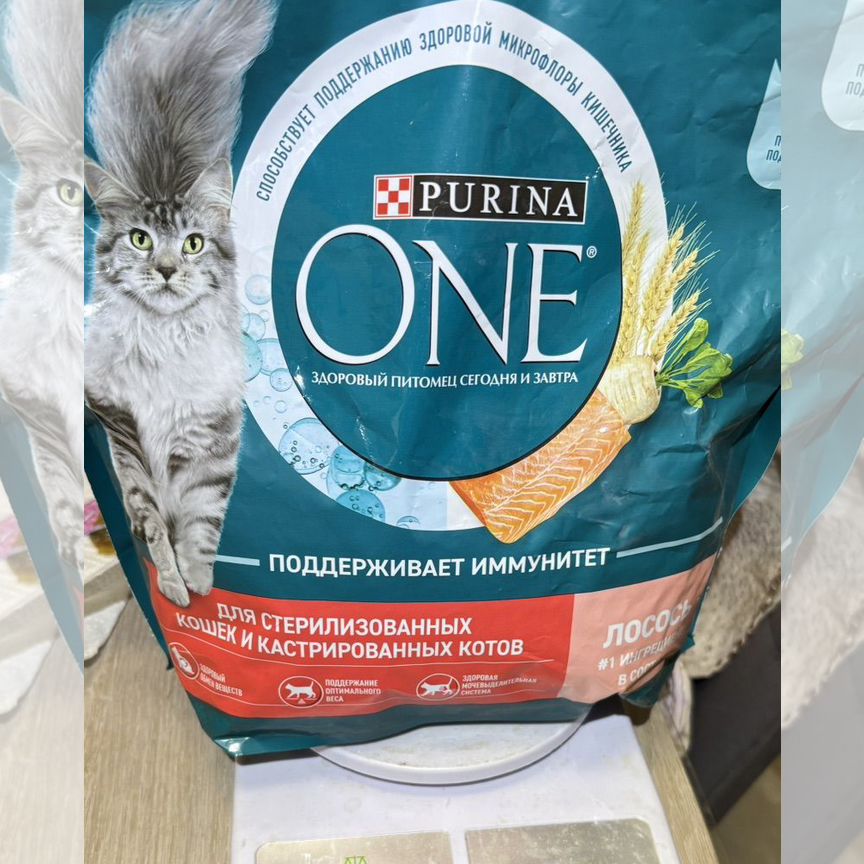 Корм для кошек