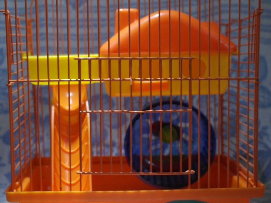 Маленькая клетка для грызунов