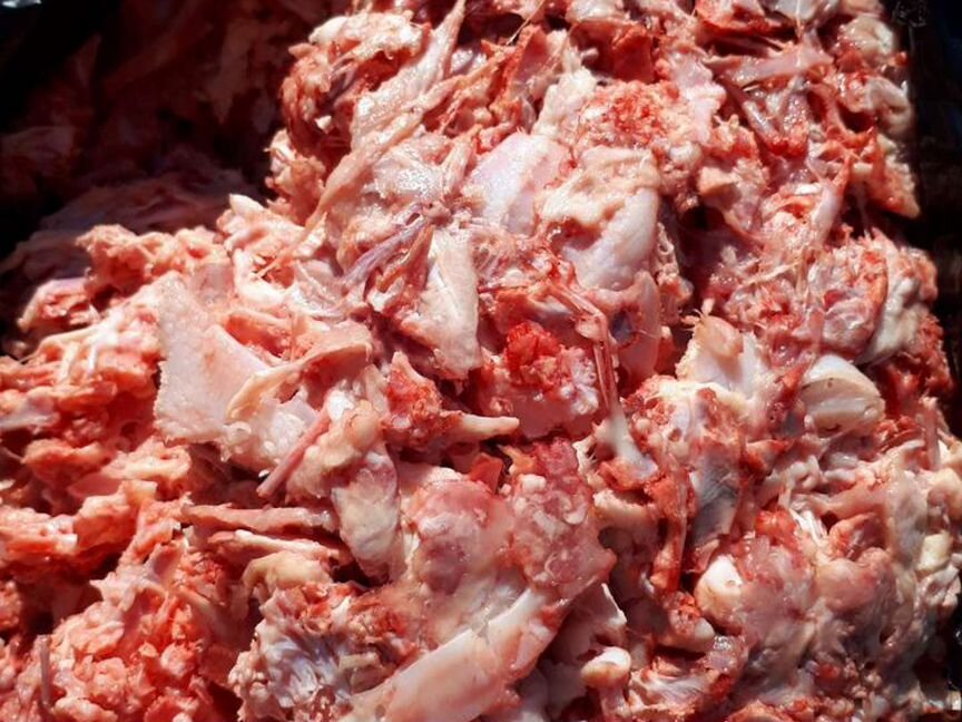 Мясо собакам