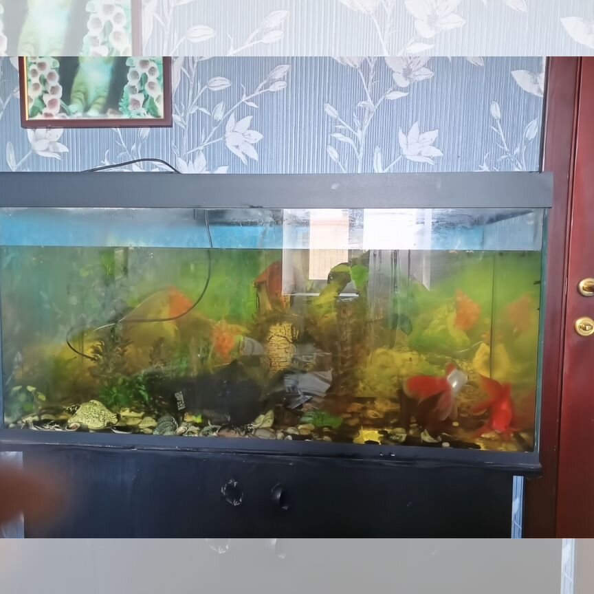 Аквариум 150 л