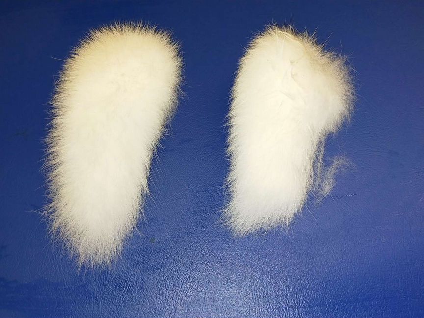 Хвост кролика лакомство