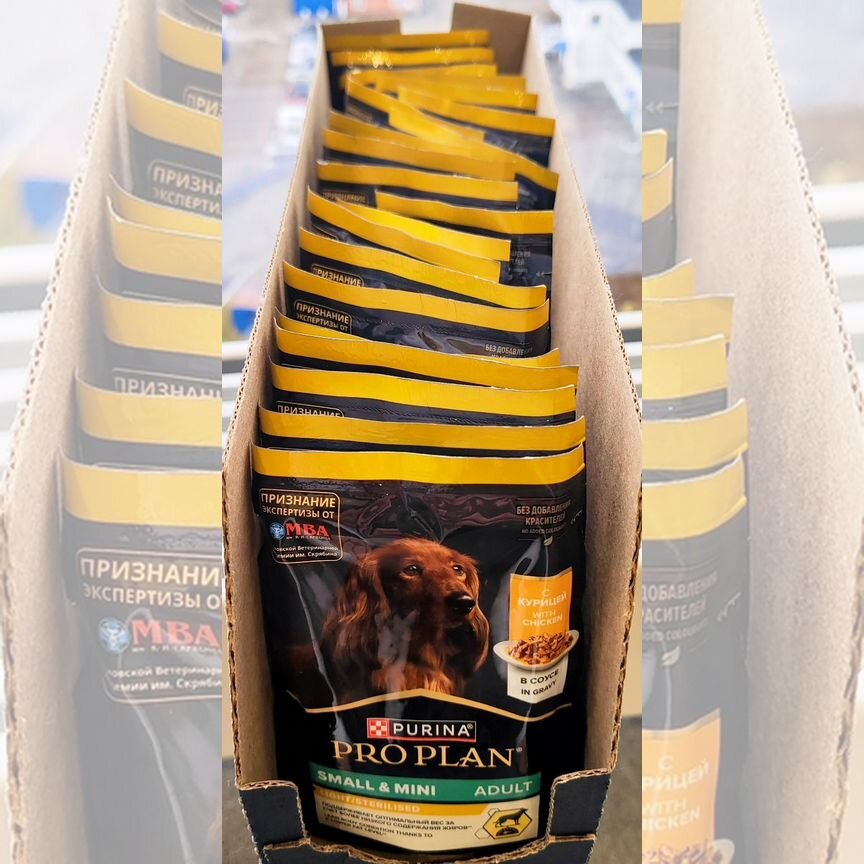 Влажный корм для собак