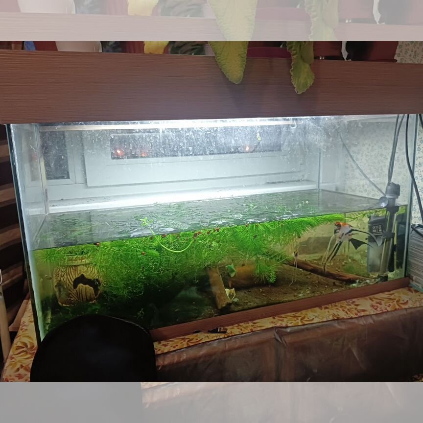 Аквариум негерметичный 100 литров с лампой