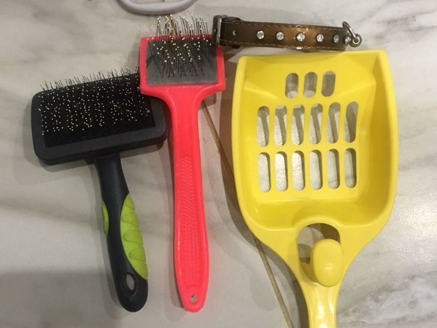 Аксессуары для кошек