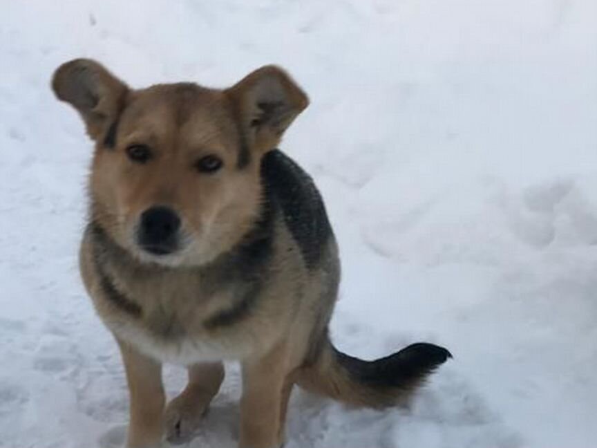 Жизнь на волоске